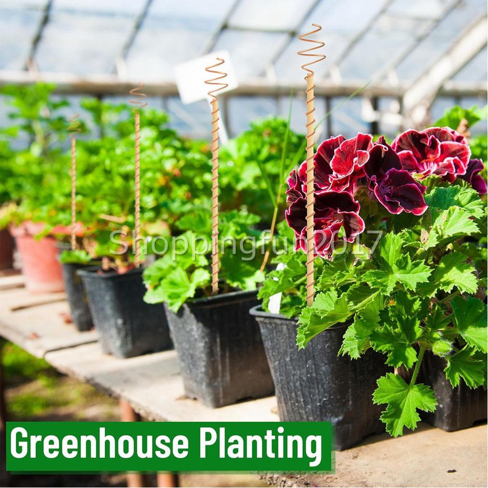 12/24PCS Electroculture Garden Copper Coils Plant Support Stake for ...