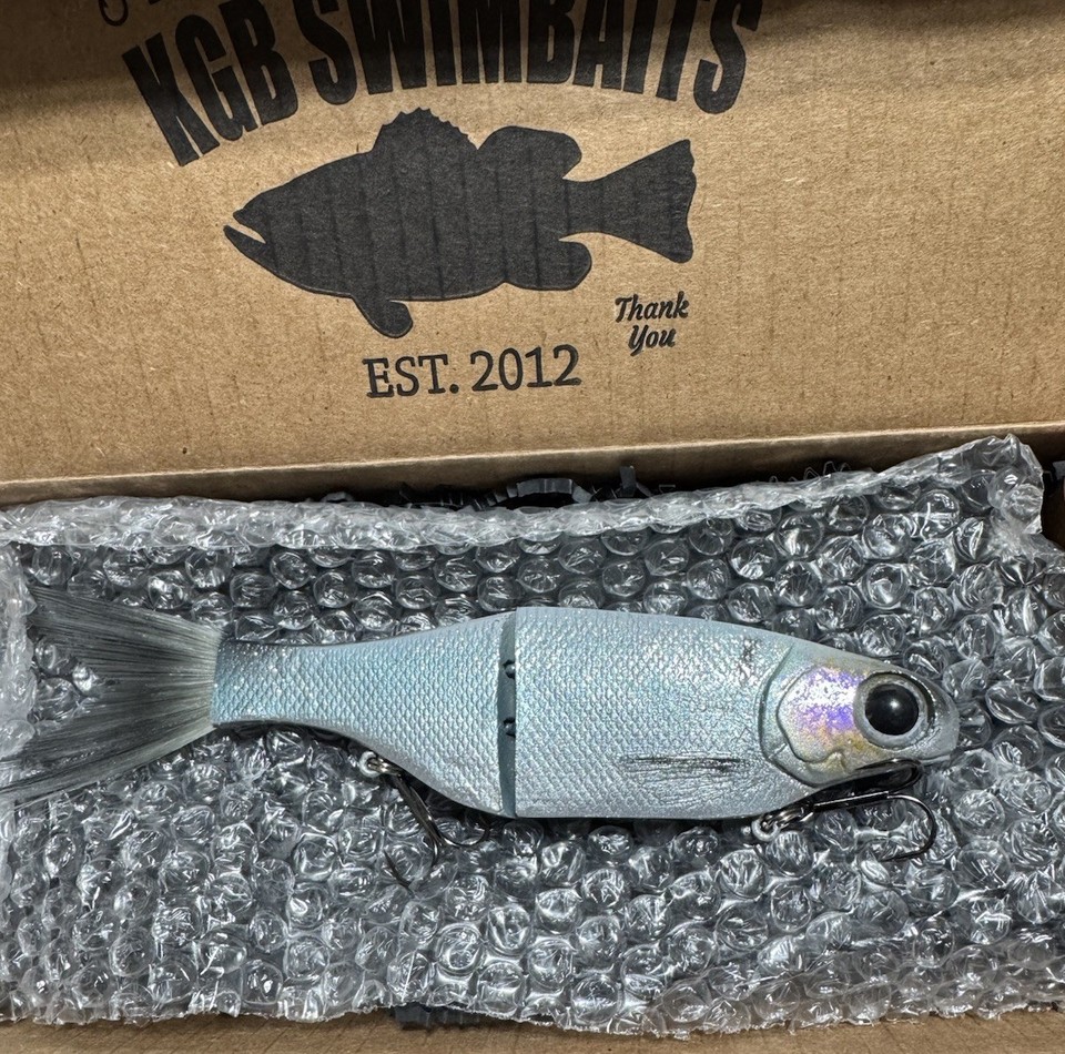 KGB 9" INCH TSG LEGEND SWIMBAIT BRAND NEW GLIDEBAIT | eBay