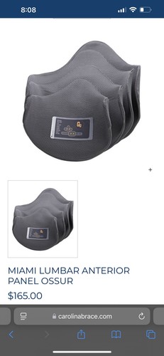 NEW Ossur Miami Lumbar Posterior Panel (ONLY) LSO Spine Orthosis TLSO ...