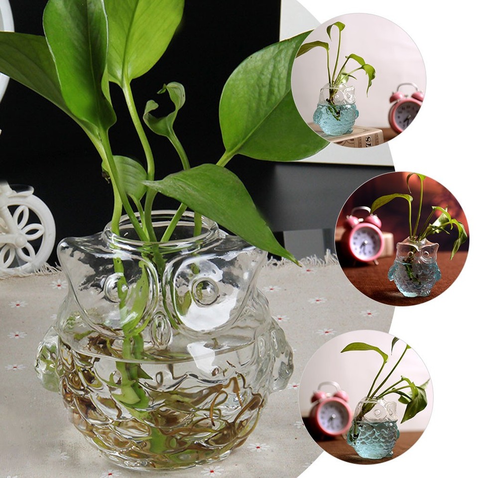 Desktop Glass Flower Pot Decorative Vase Container Living Room Planter ...