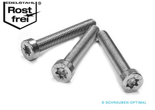 Zylinderschrauben niedrig M2 M2,5 M3 M4 M5 M6 ISO 14580 DIN 7984 TX ...