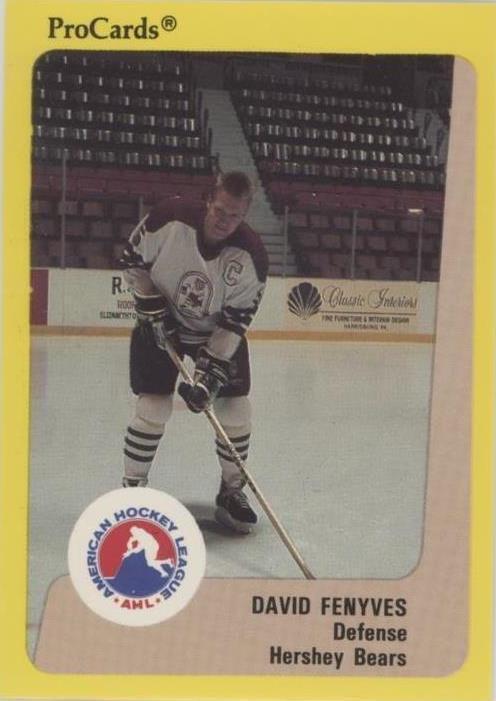 1989-90 Procards AHL - David Fenyves #335 (RC) for sale online | eBay