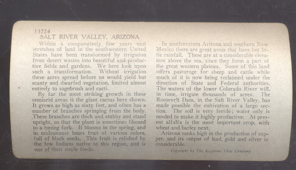 REAL PHOTO SALT RIVER VALLEY ARIZONA DESERT SAURAGO CACT VINTAGE ...