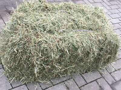 800 HD-Ballen gutes Heu aus 2022 -4,00 € je Ballen ab Hof- | eBay.de