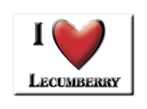Aimant sur Lecumberry, Bourgogne - Magnet France Souvenir | eBay