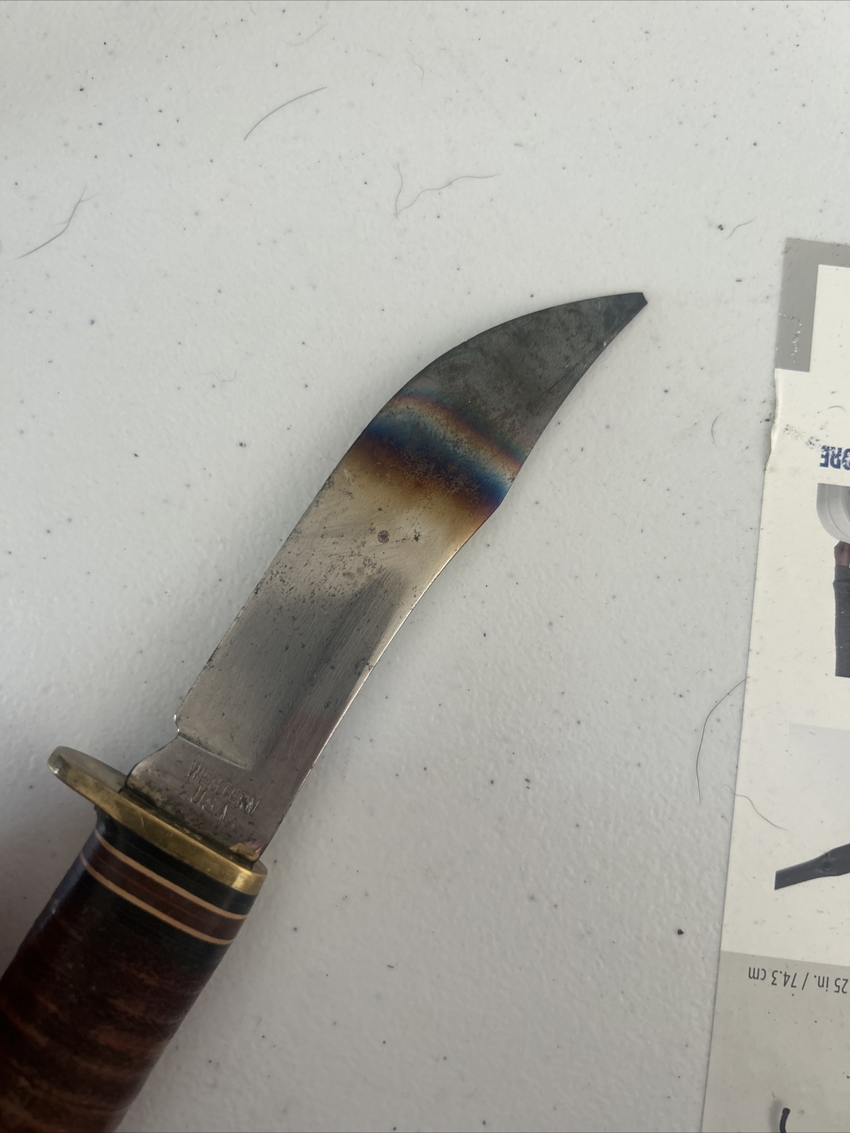 Vintage WESTERN Fixed Blade Hunting Knife, Stacked Leather Handle | eBay