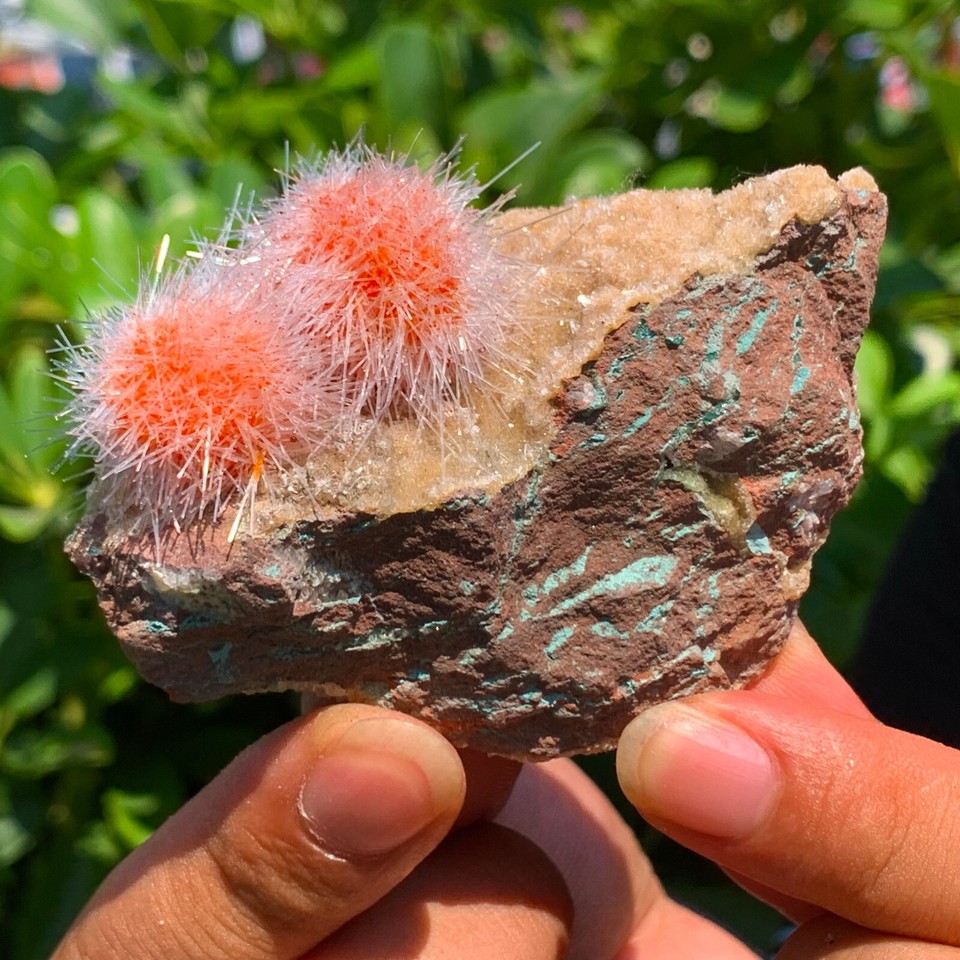 101G Indian dandelion zeolite Quartz Crystal Cluster Mineral Specimen ...
