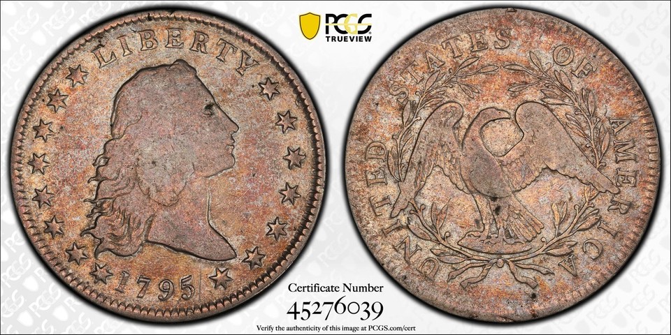 1795 Flowing Hair Dollar $1 PCGS VG10 - Silver Plug | eBay
