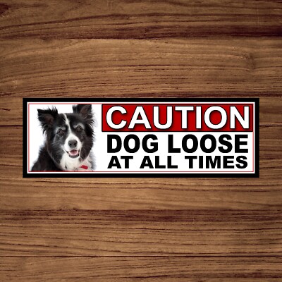 Border Collie CAUTION DOG LOOSE METAL GATE SIGN 266mm x 87mm. (1119H2 ...