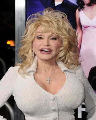 Dolly Parton Posing In Grey Dress 8x10 PHOTO PRINT | eBay