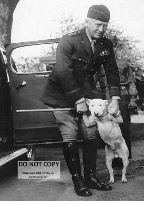 *5X7* PHOTO - GENERAL GEORGE S. PATTON WITH BELOVED DOG "WILLIE" (AB ...