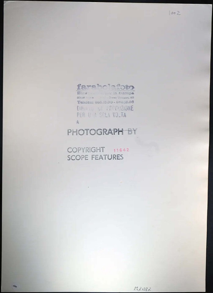 Vintage Press Photo Tv Priscilla Presley 80s Ft 1017 - Print 27x37 cm ...