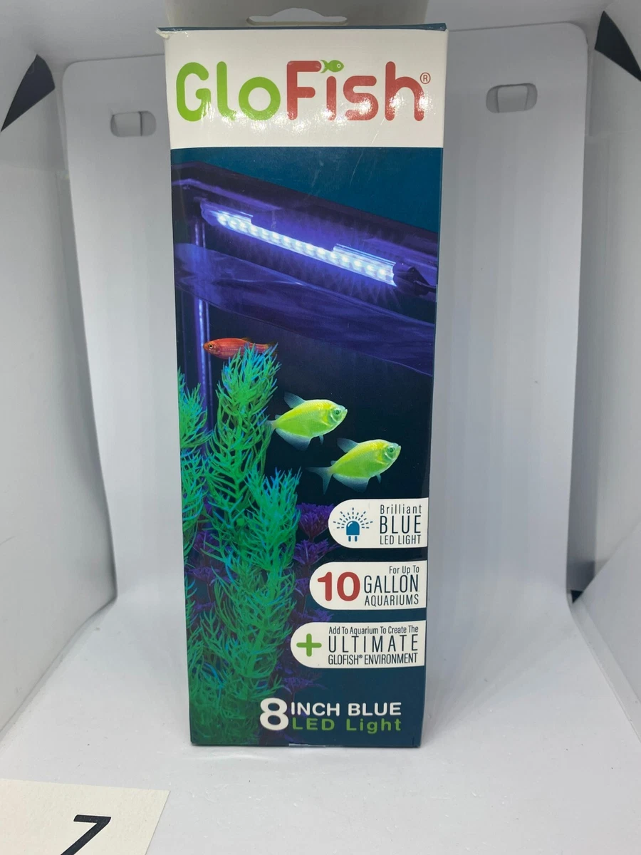 Glofish 10 Gallon Tank