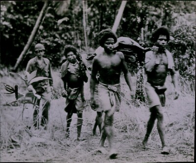 LG885 1943 Wire Photo NEW GUINEA INDIGENOUS PEOPLE Men Carrying Soldier ...