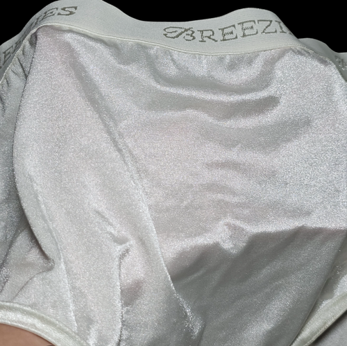 Vintage Slippery Breezies Panty Nylon Lycra Ivory White Brief Size 9 ...