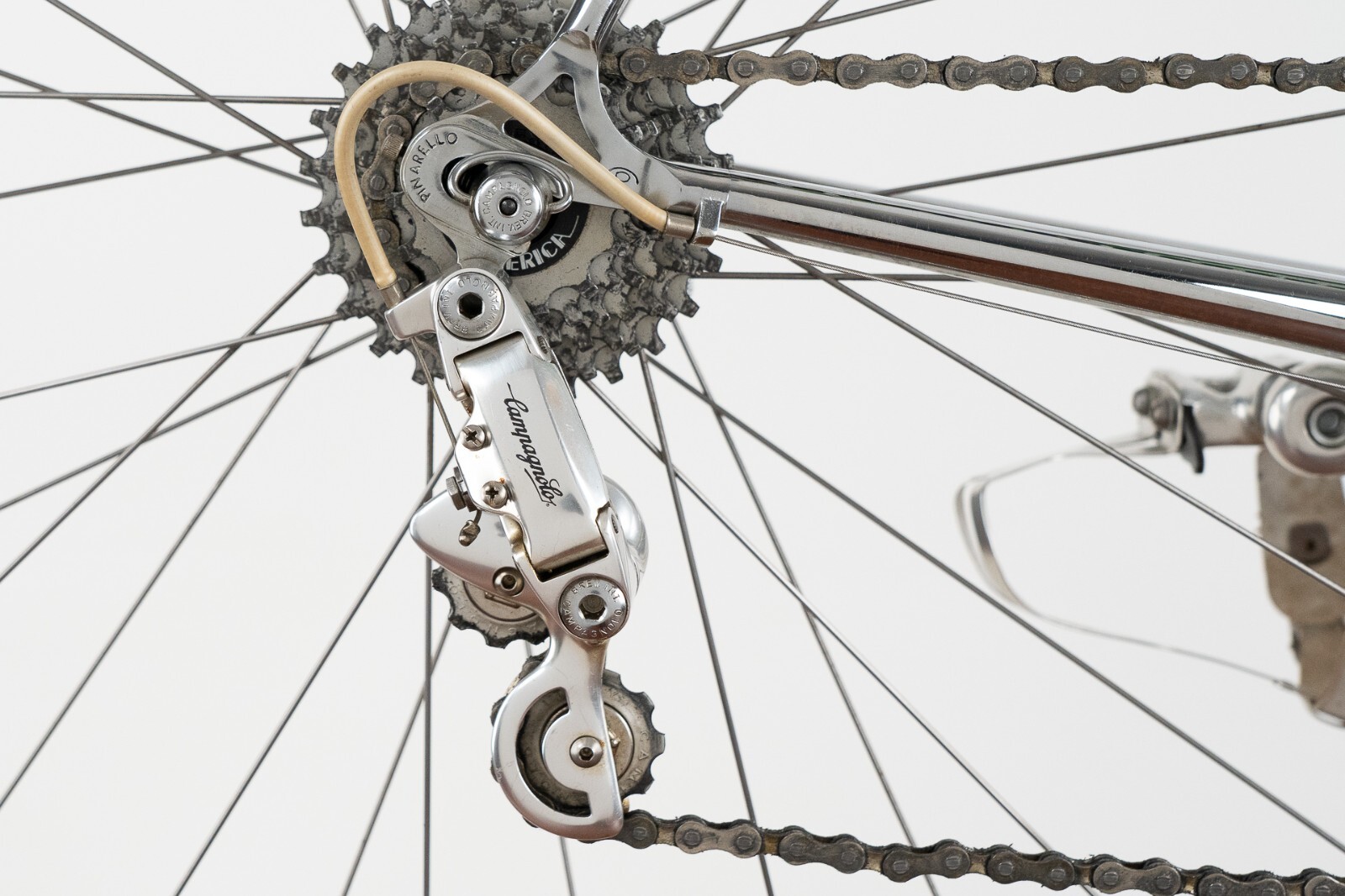 PINARELLO MONTELLO CAMPAGNOLO C-RECORD COBALTO STEEL LUGS VINTAGE OLD ...