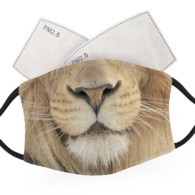 Lion Face - Child Face Masks - 2 Filters Included | eBay UK