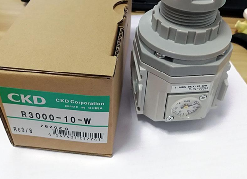 1PC NEW CKD R3000-10-W | eBay