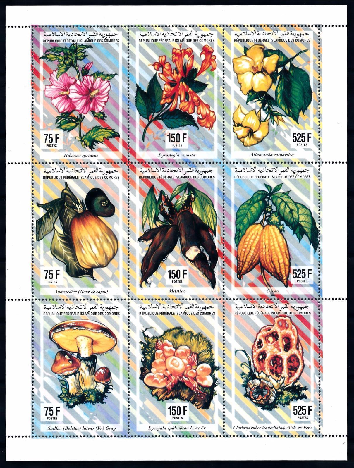 [66853] Comores Comoros 1994 Flora Flowers Blumen Mushrooms Pilze MNH ...