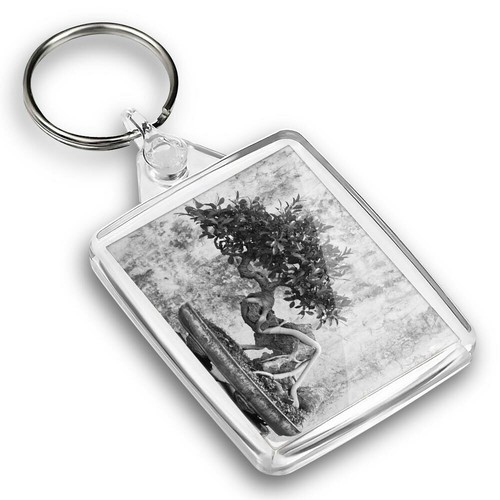 IP02 Passport Keyring BW - Bonsai Tree Nature Plants #39505 ...
