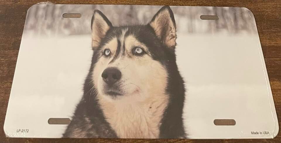 Siberian Husky Dog Booster Novelty License Plate Huskies Blue Eyes | eBay