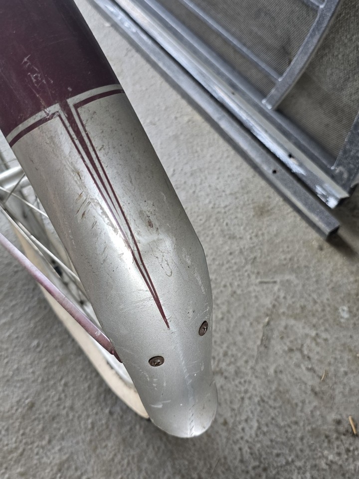 For Sale: Tandem Bicycle - Maroon | eBay