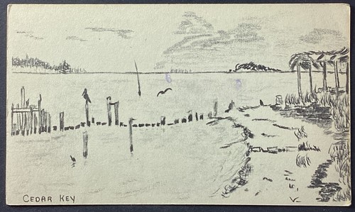 Cedar Key Florida Drawing by Verona Watson VTG Standard Postcard Posted ...