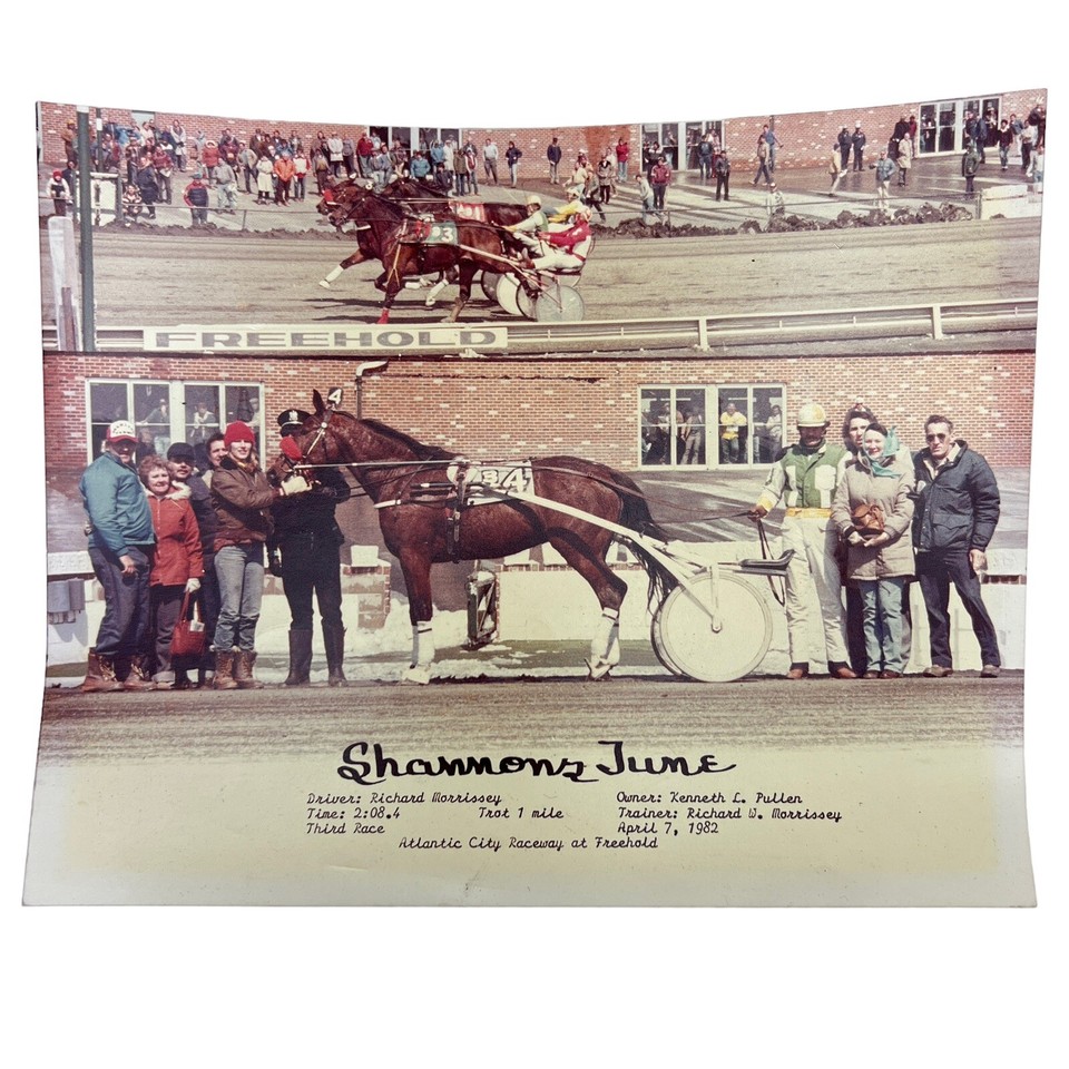 Horse Racing Photo SHANNONS JUNE April 30 1982 FREEHOLD ATLANTIC CITY ...