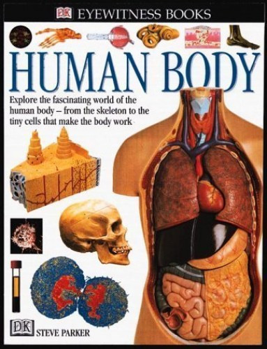 Human Body (Eyewitness Books) - ACCEPTABLE 9780789448835| eBay