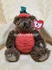 Ty Beanie Baby Peter Bear 1993 Attic Treasures plush pumpkin Halloween ...