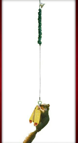 SONGBIRD ESSENTIALS SQUNGEE SQUIRREL FEEDER BUNGEE JUMPER BOUNCER ...