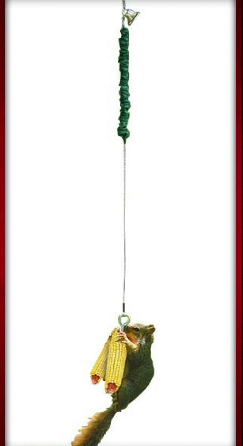 SONGBIRD ESSENTIALS SQUNGEE SQUIRREL FEEDER BUNGEE JUMPER BOUNCER ...