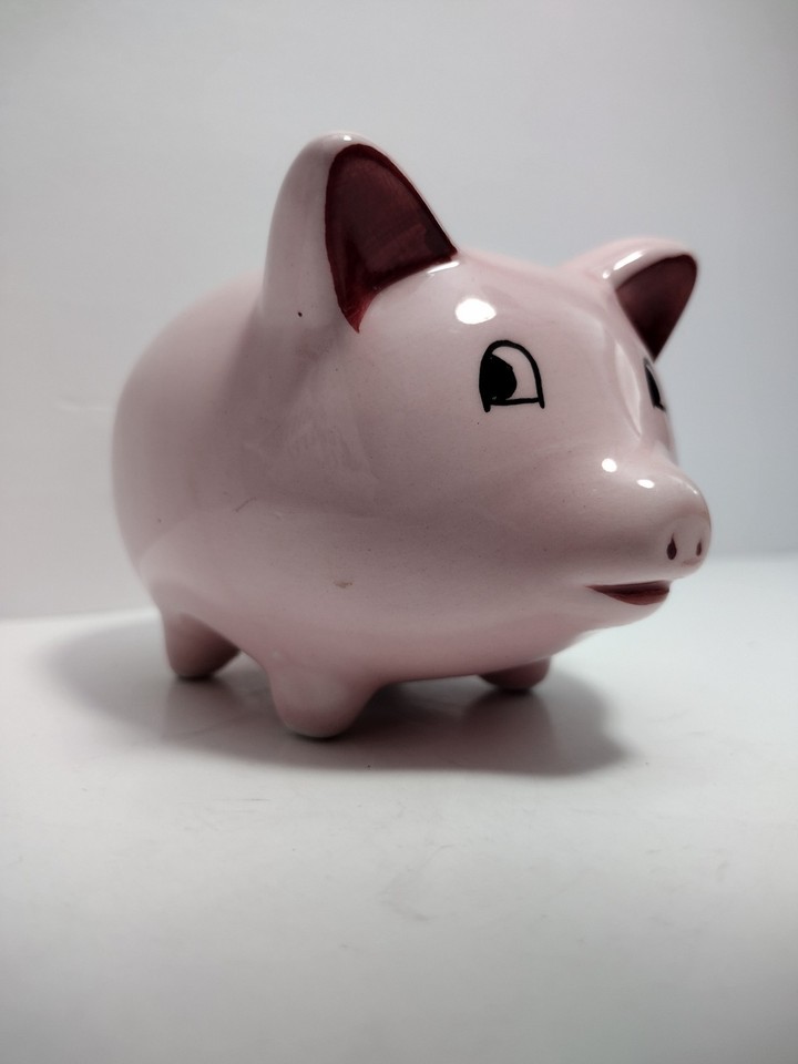 Little Pink Piggy Bank Nothing Special But Those Eyes 👀 & Missouri On ...