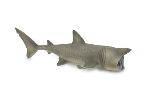 Basking Shark, Realistic, Figure, Model, Toy, Kids, Gift, 8 1/2" CH670 ...