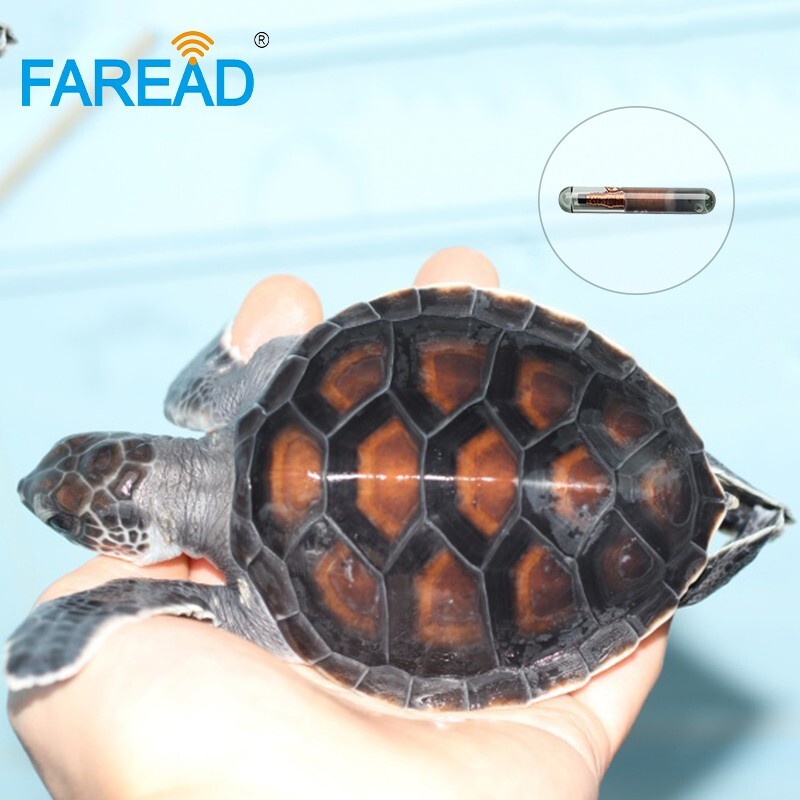 10pcs 1.25*7mm FDX-B Rfid Transponder Chip dog pet ID microchip animal ...