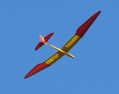 Giant Bird of Time Sailplane Plans, Templates and Instructions 118ws | eBay