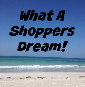 What a Shoppers Dream | eBay Stores
