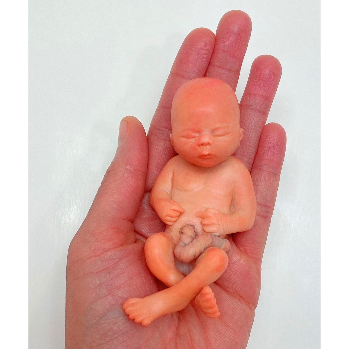 Fetal Stages Week By Week How Your Baby Develops Week To Week | Ready