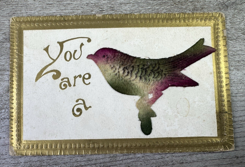 You Are A Bird Embossed, Appliqued Vintage Postcard TRG Divided Back ...