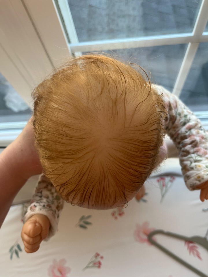 reborn baby dolls pre owned | eBay