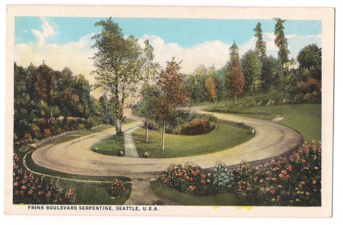FRINK Boulevard SERPENTINE Road in Park Seattle WASHINGTON Postcard ...