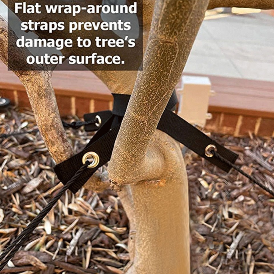 8 Pcs Tree Staking Belts Straight Strap Straightening Supports Ties | eBay