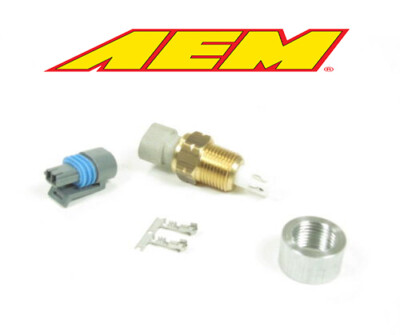 AEM Air Intake Temperature Sensor (AIT SENSOR) 3/8NPT 30-2010 | eBay