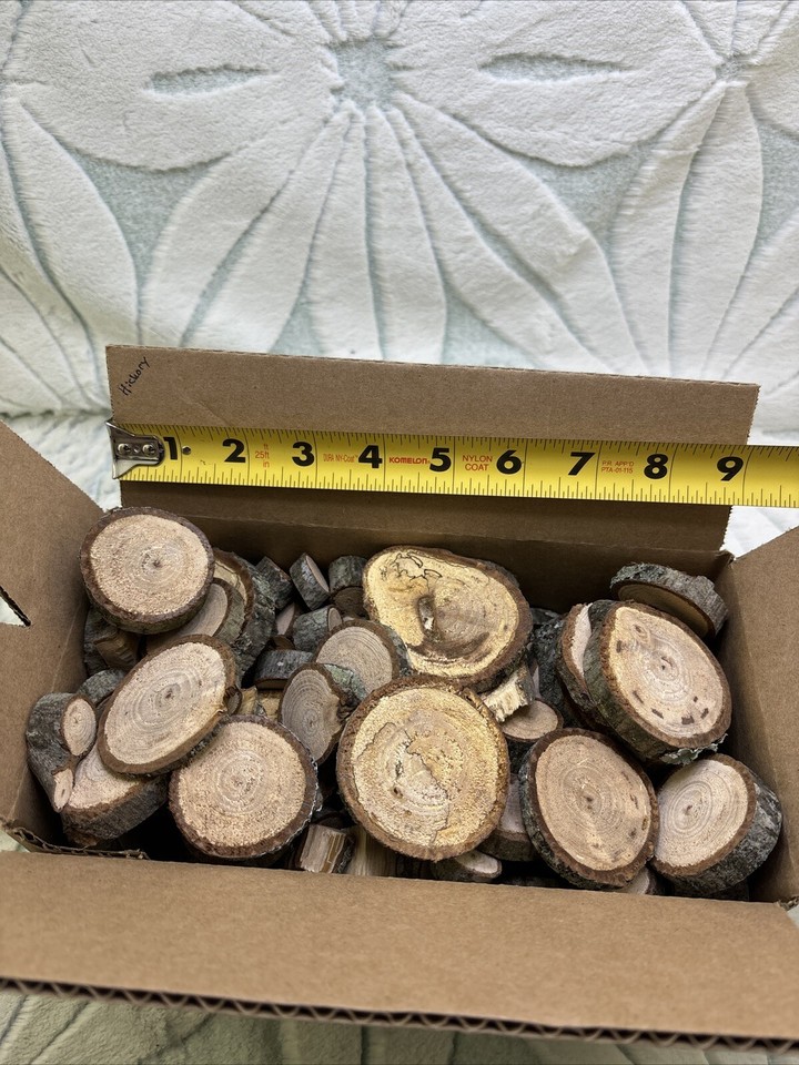 Hickory Wood Chunks Disks for BBQ/Grilling/Wood Smoking Crafts 3 LBs 48 ...