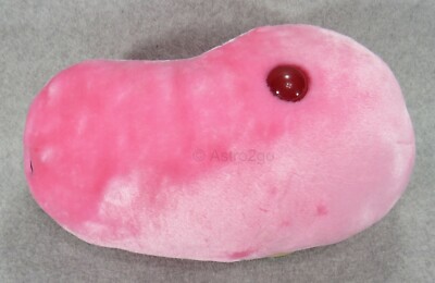 GIANT MICROBES-GIGANTIC SWINE FLU-Stuffed Plush Influenza Pandemic ...