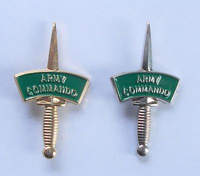 ARMY COMMANDO DAGGER LAPEL PIN OR WALKING STICK MOUNT - GOLD OR SILVER ...