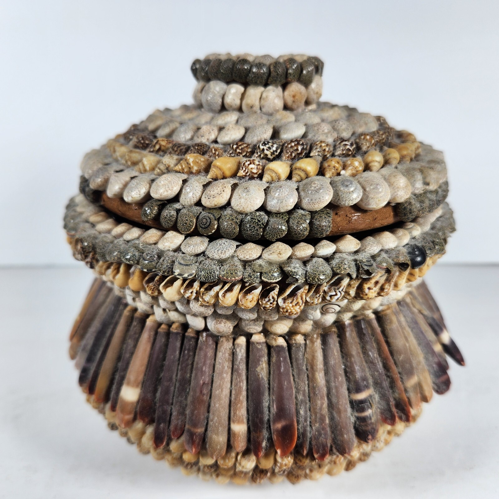 Terra Cotta Clay Pot Sea Shell Covered Trinket Dish Sea Urchin Spines ...