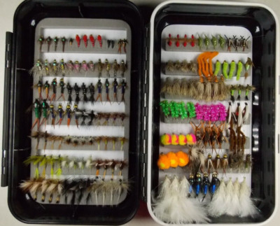 TROUT FLY ASSORTMENT - 164 flies in a new waterproof fly box | eBay