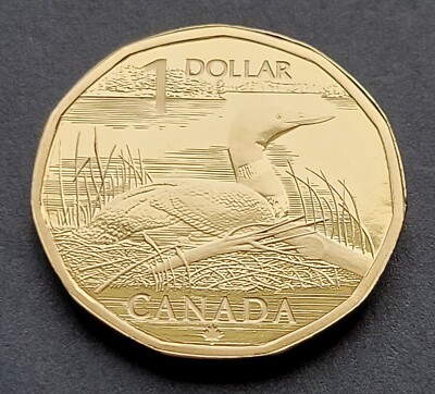 ** CANADA LOONIE 2004 ** PROOF ULTRA HEAVY CAMEO ** THE ELUSIVE LOON ...