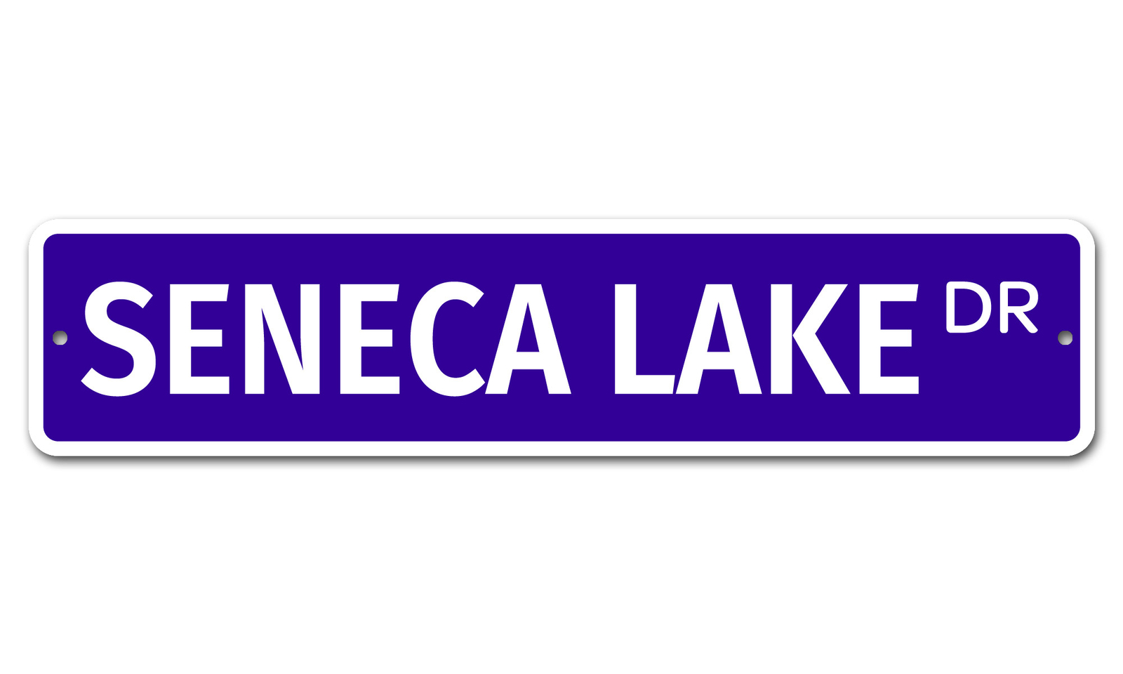 7386 SS Seneca Lake 4" x 18" Novelty Street Sign Aluminum | eBay